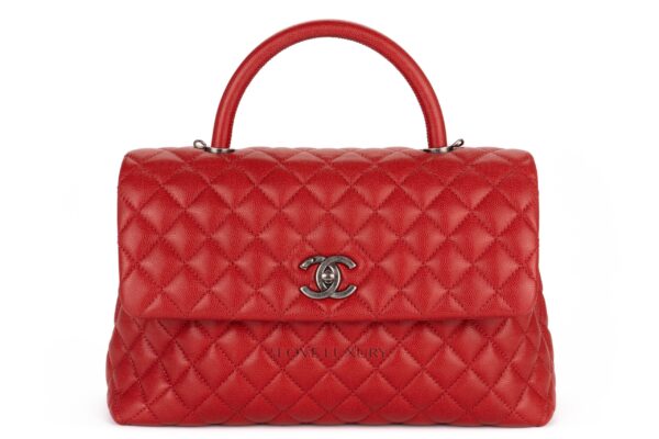 Trendy Coco Handle Bags Online