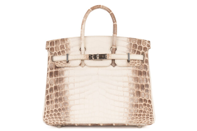 Hermès Birkin 25 Himalaya Blanc Matte Crocodile Palladium Hardware ...
