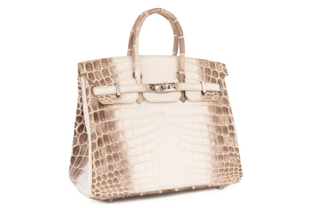 Hermès Birkin 25 Himalaya Blanc Matte Crocodile Palladium Hardware ...
