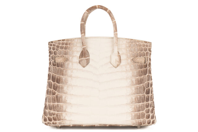Hermès Birkin 25 Himalaya Blanc Matte Crocodile Palladium Hardware ...