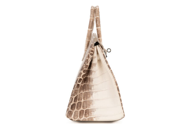 Hermès Birkin 25 Himalaya Blanc Matte Crocodile Palladium Hardware ...