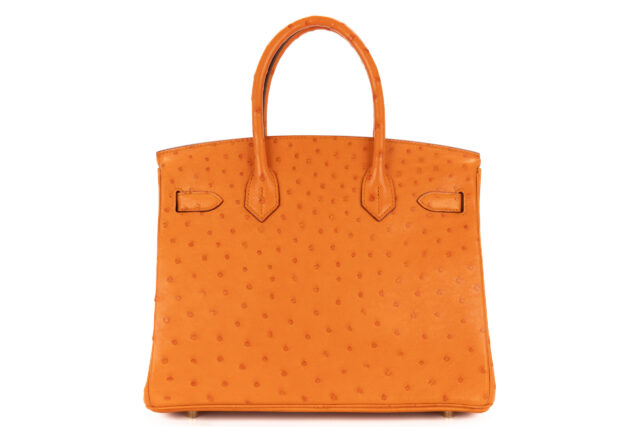 Hermès Birkin 30 Orange H Ostrich Gold Hardware - Luxury Shopping