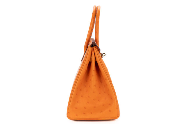 Hermès Birkin 30 Orange H Ostrich Gold Hardware - Luxury Shopping